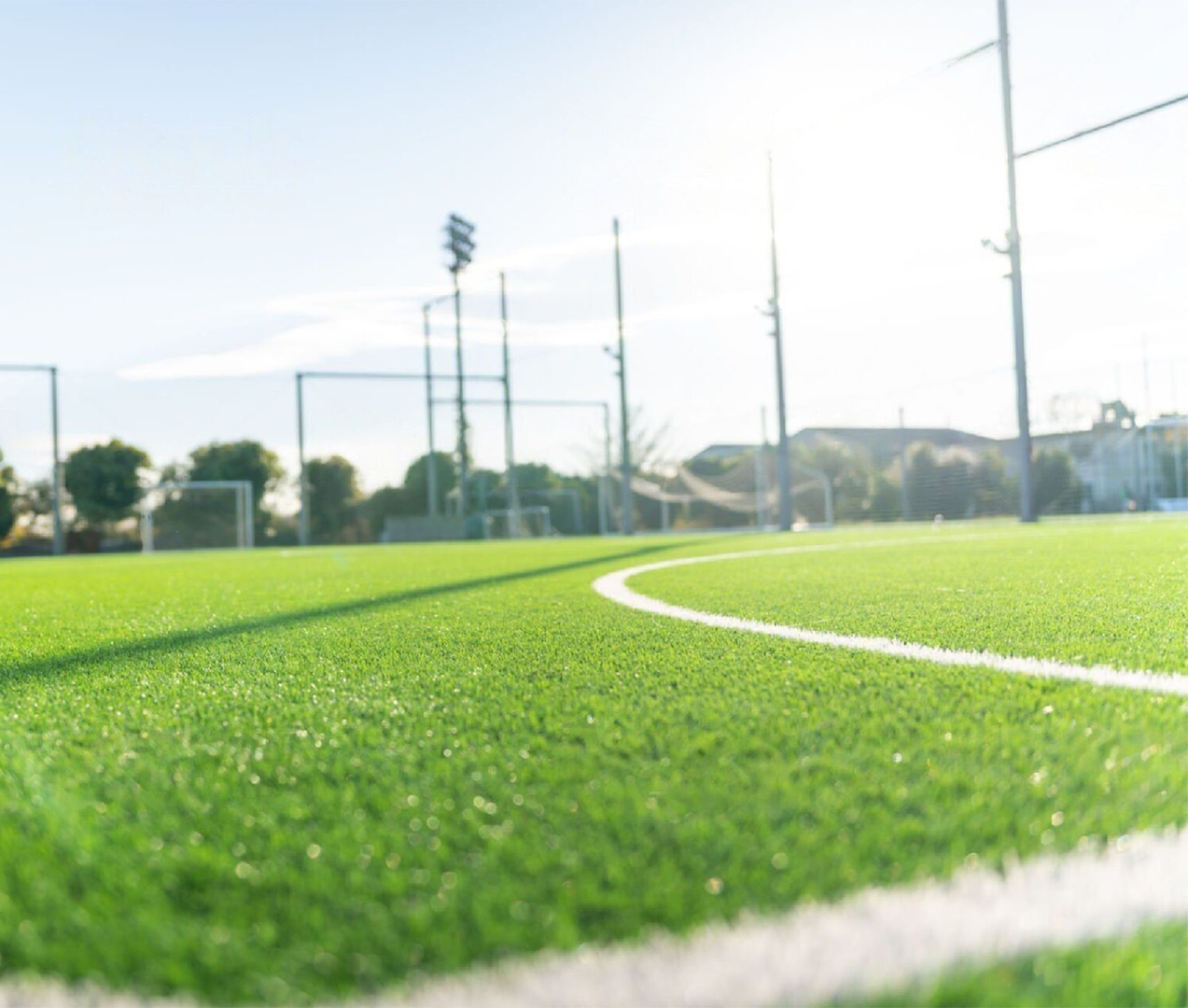 Contacto - Royalturf